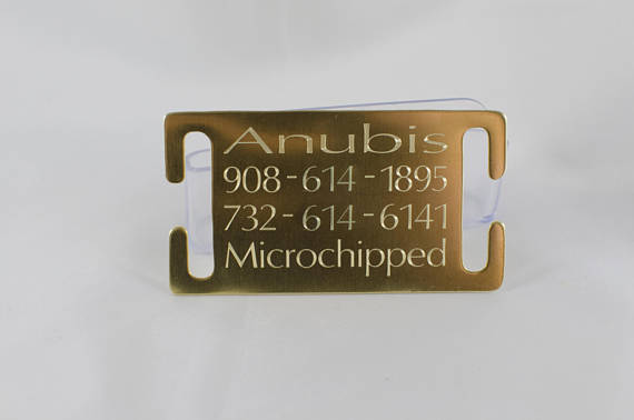 Jingle Free Large ID Tag for 1.5" wide collars or harnesses